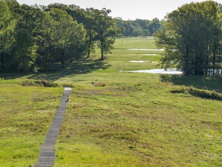 The Ancient City - Mounds at Poverty Point | The Heart of Louisiana