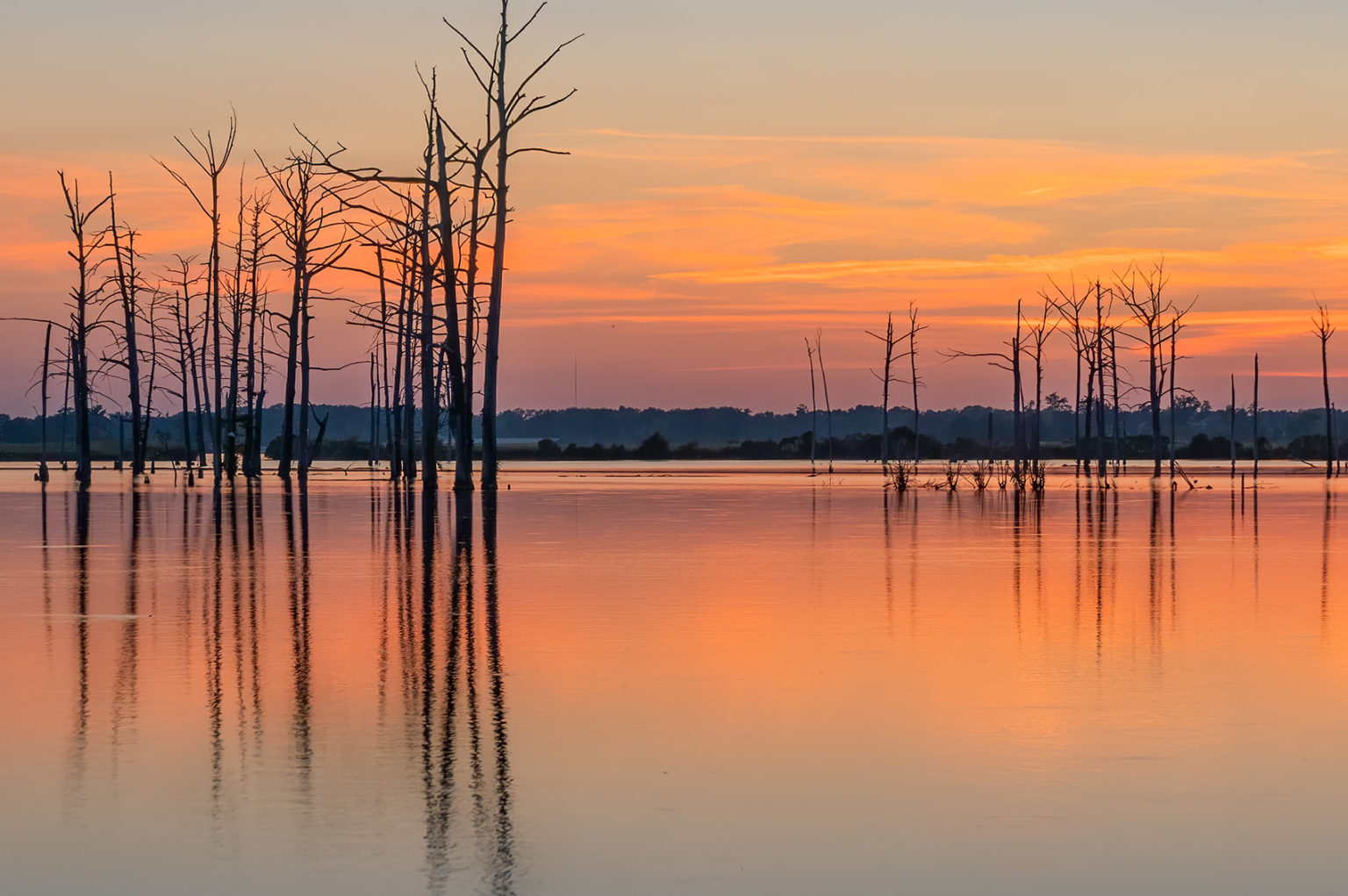 Explore Louisiana State Parks | The Heart of Louisiana