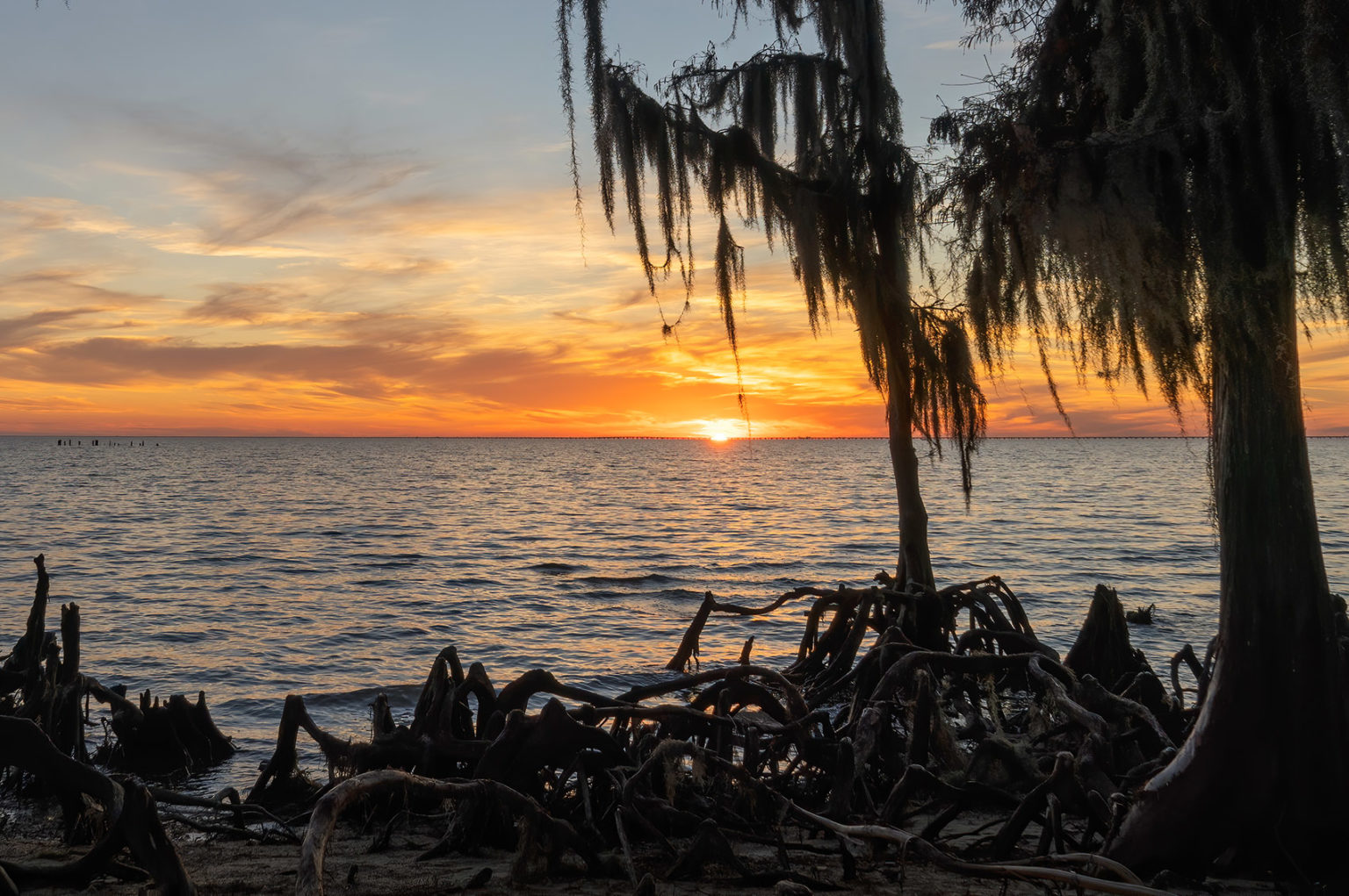 Explore Louisiana State Parks | The Heart of Louisiana
