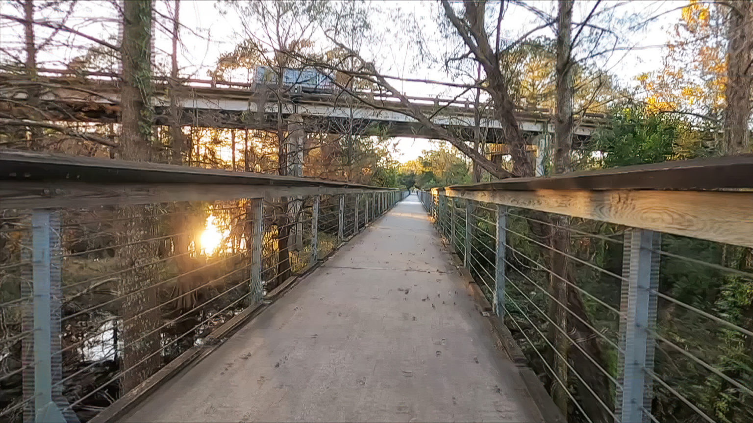 Best bike trail in Louisiana Tammany Trace | The Heart of Louisiana