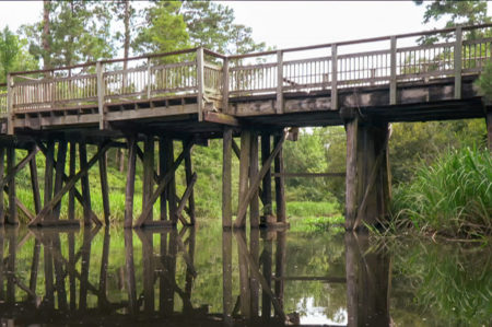 Tchefuncte River Tour at Fairview-Riverside Park | The Heart of Louisiana