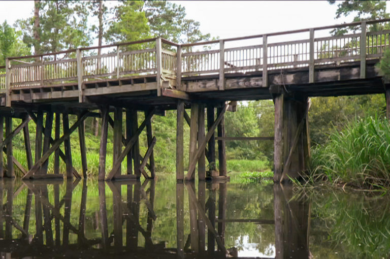 Explore the Northshore of Louisiana | The Heart of Louisiana
