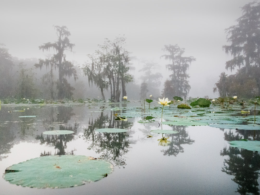 Louisiana Photographer's Journal | The Heart of Louisiana
