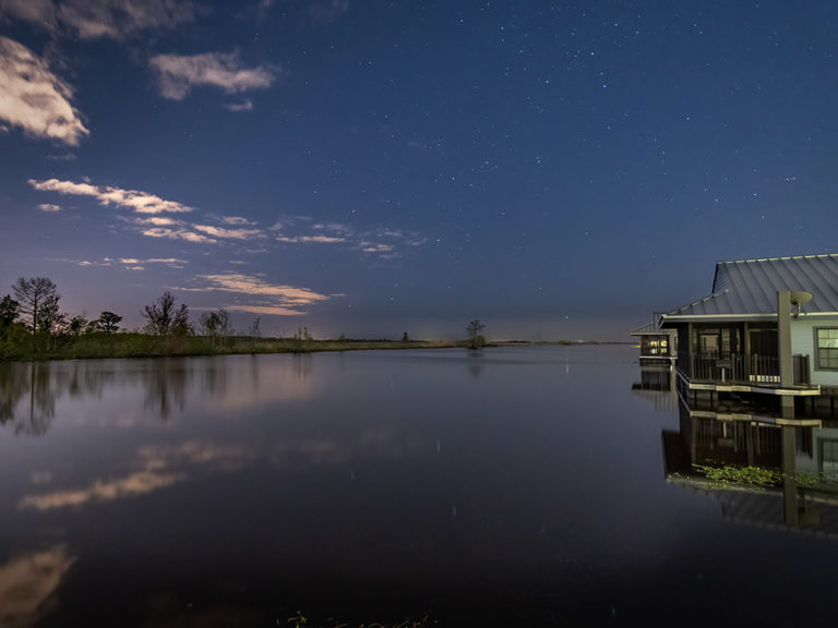 Bayou Segnette State Park | The Heart of Louisiana
