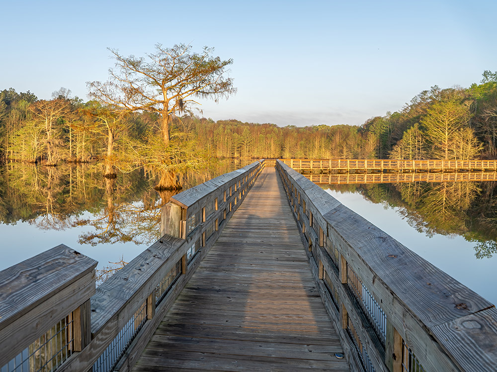 Chicot State Park for paddle and hiking adventure | The Heart of Louisiana