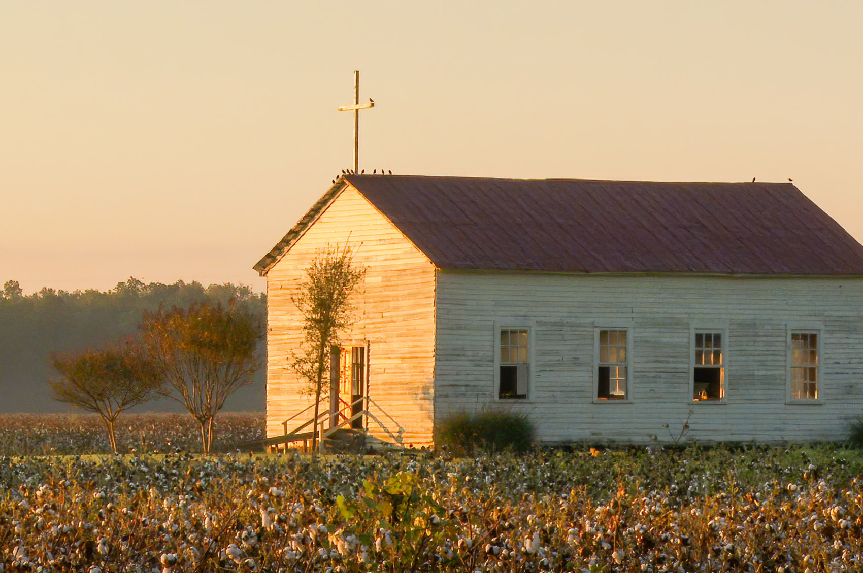 Slave narratives tell plantation story at Frogmore | The Heart of Louisiana