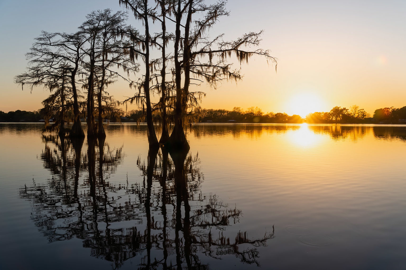 St. Joseph Louisiana Rebirth of a River Town | The Heart of Louisiana