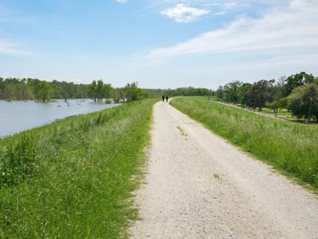 St. Joseph Louisiana Rebirth of a River Town | The Heart of Louisiana
