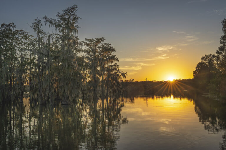 Fall Color of Cypress Trees in Louisiana | The Heart of Louisiana