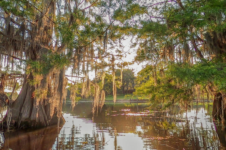 Explore Louisiana State Parks | The Heart of Louisiana