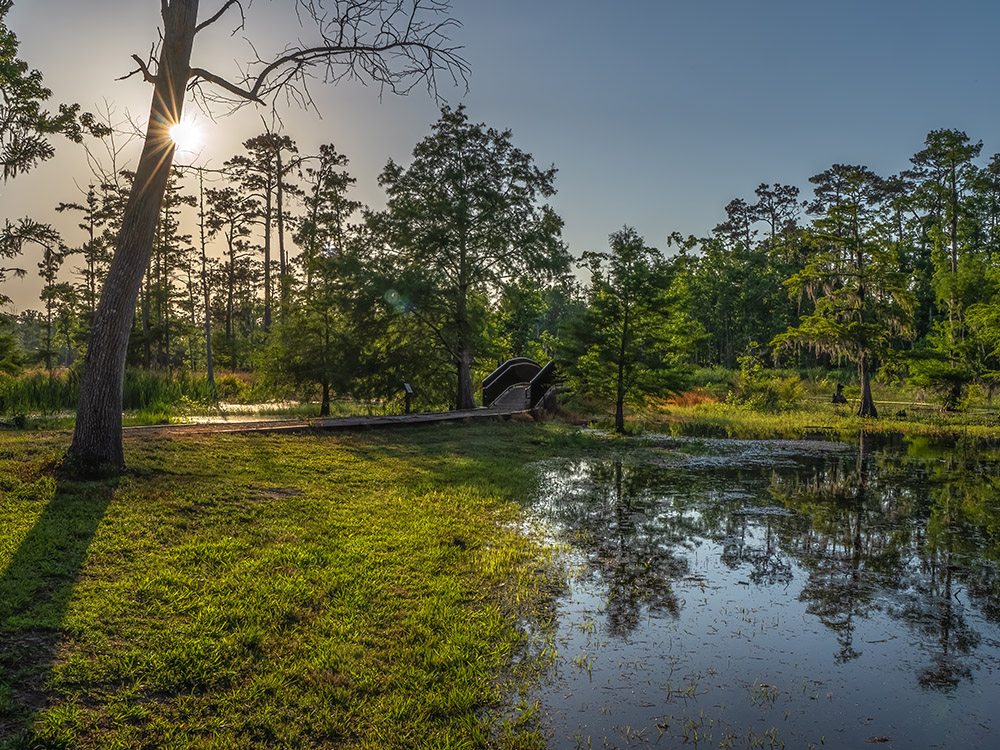Sam Houston Jones State Park Rebounds | The Heart of Louisiana