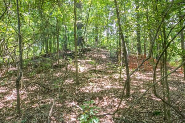 LSU Origin - First Campus was not in Baton Rouge | The Heart of Louisiana