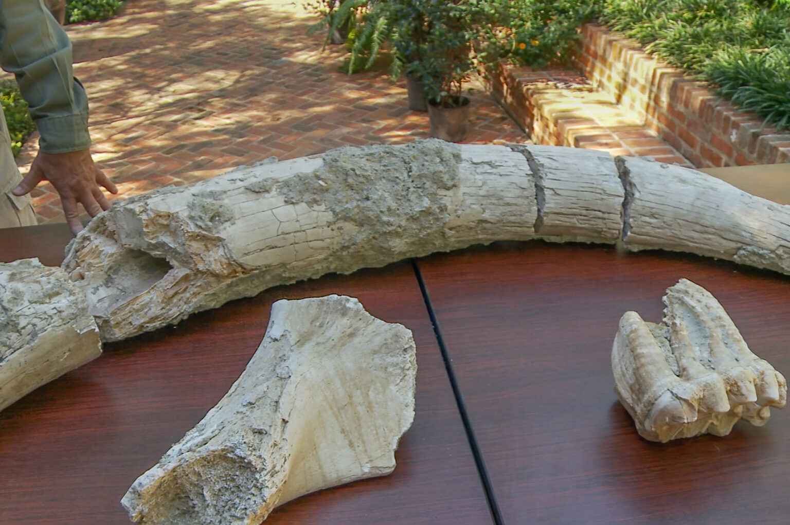 Explore the Acadiana Region of Louisiana | The Heart of Louisiana