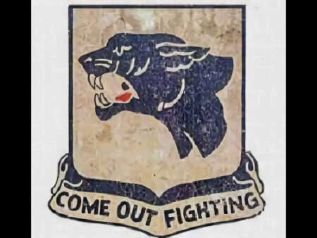 761st Tank Battalion-The Black Panthers | The Heart of Louisiana