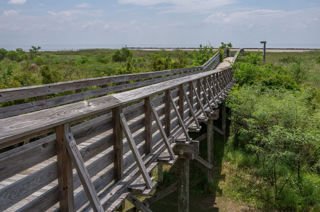Explore Louisiana State Parks | The Heart of Louisiana
