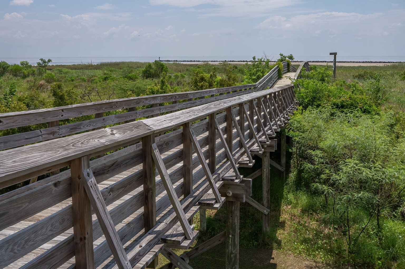 Come "Down-the-Bayou" to the Bayou Region | The Heart of Louisiana