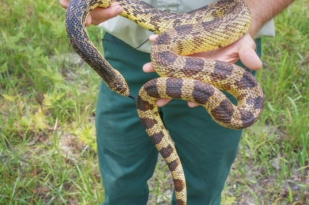 Experience the Beauty of Central Louisiana | The Heart of Louisiana