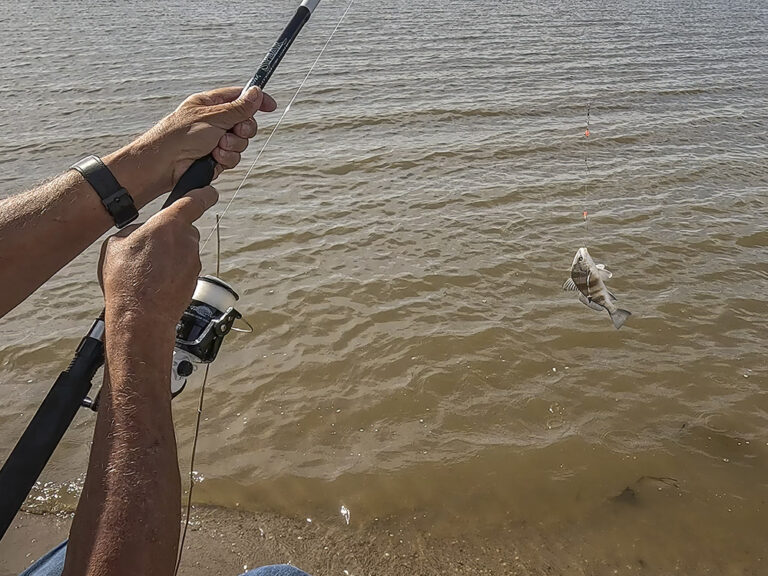 Cypremort Point adds new campsites to Louisiana State Park | The Heart ...