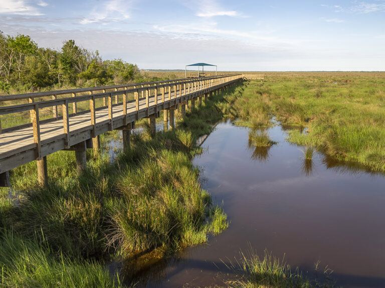 Cypremort Point adds new campsites to Louisiana State Park | The Heart ...