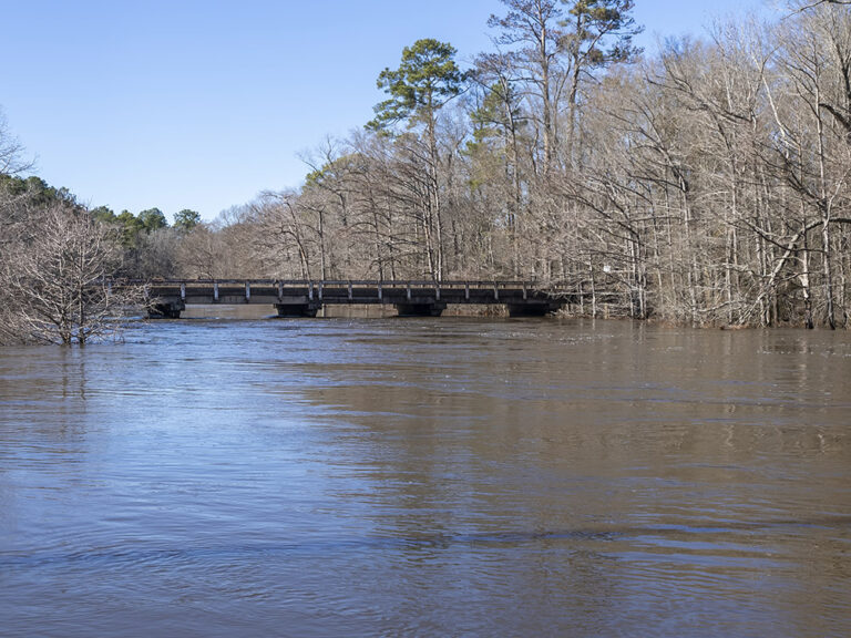 Minden Louisiana History on Display in Museum | The Heart of Louisiana