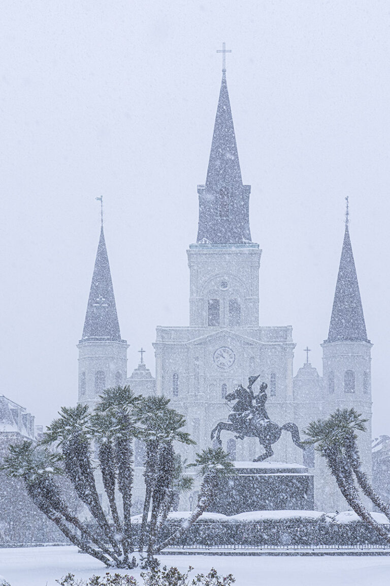 New Orleans Snow Day | The Heart of Louisiana