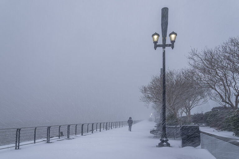 New Orleans Snow Day | The Heart of Louisiana