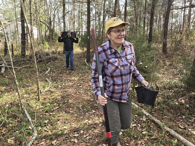Louisiana Native Plants | The Heart of Louisiana
