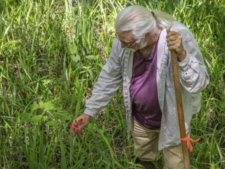 Red Iris - A Rare Louisiana Flower | The Heart of Louisiana