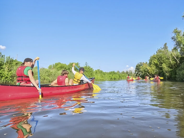 Swamp School - An Immersive Summer Experience | The Heart of Louisiana