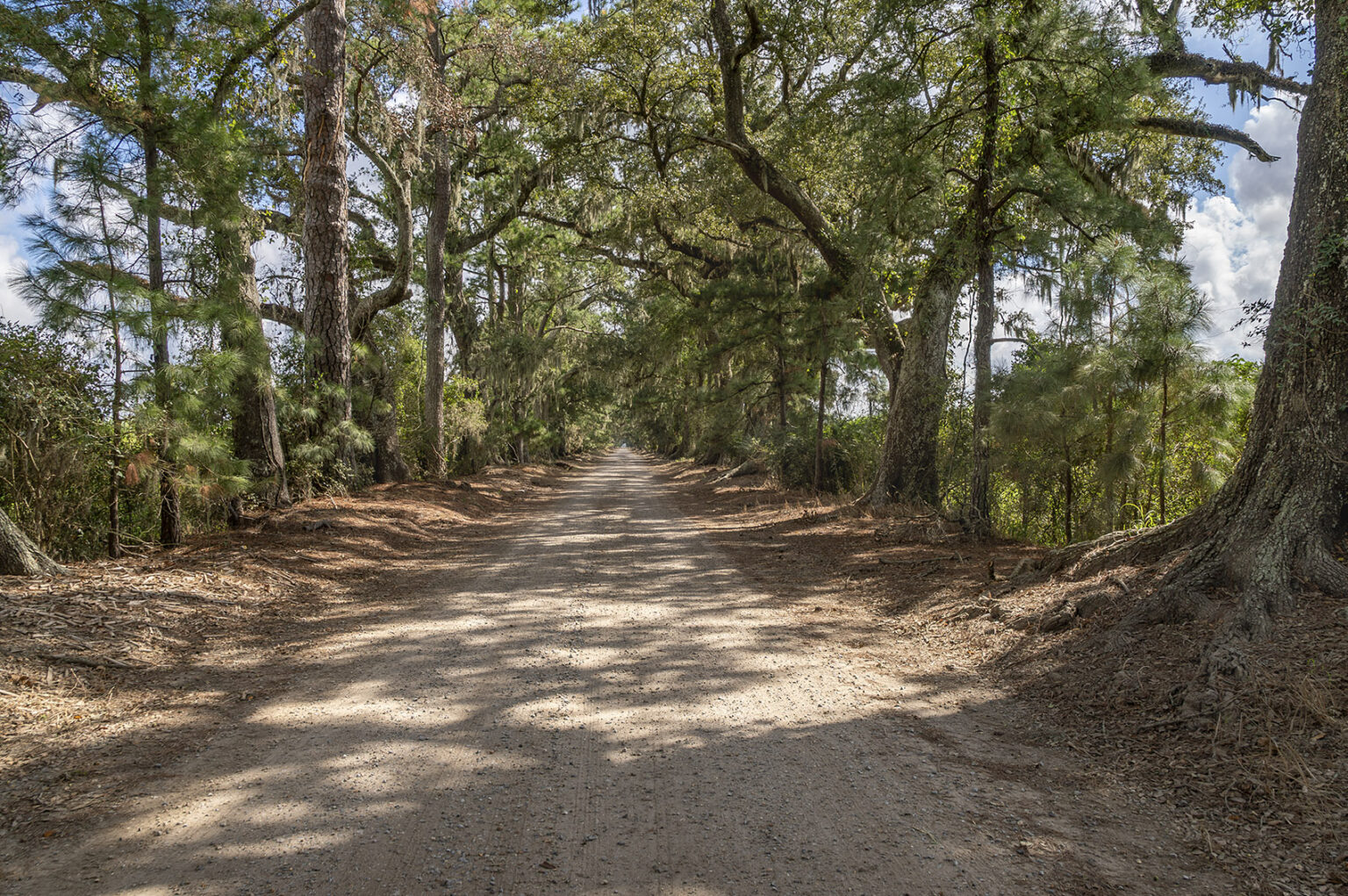Explore the Acadiana Region of Louisiana | The Heart of Louisiana